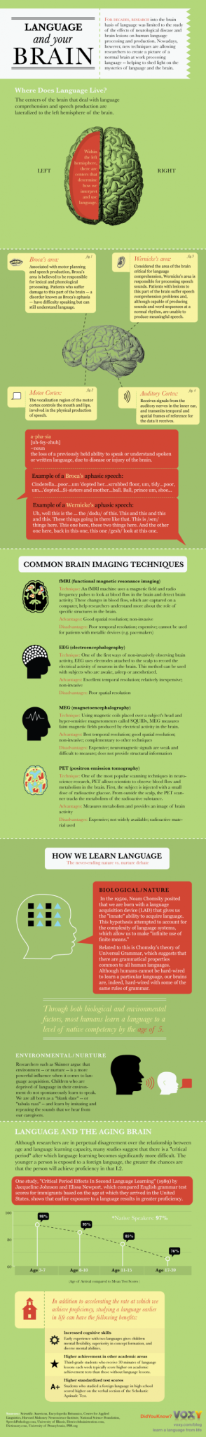 Language and Your Brain (Infographic) - Learning Success