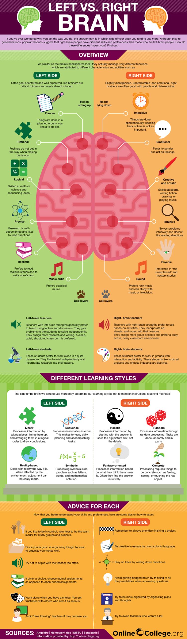 Are You Left or Right Brained - Infographic - Learning Success