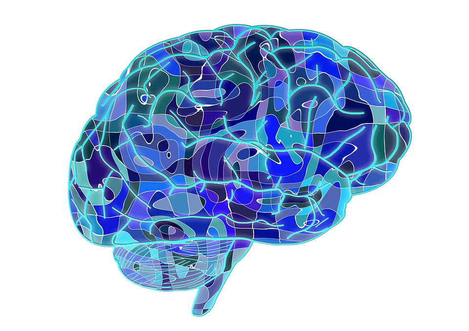 Research: Identifying Early Literacy Practices That Impact Brain ...